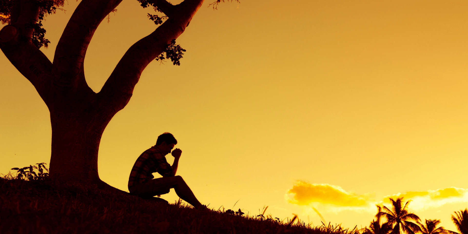 Does Therapy Actually Work? The Statistics on Success Rates